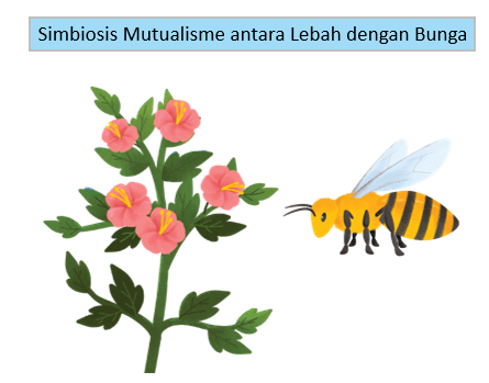 contoh gambar simbiosis dengan makhluk hidup di li...
