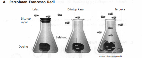 Kesimpulan dari percobaan Redi dianggap lemah oleh...
