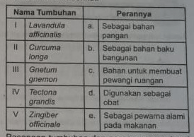Perhatikan tabel berikut! ! Pasangan tumbuhan dan ...