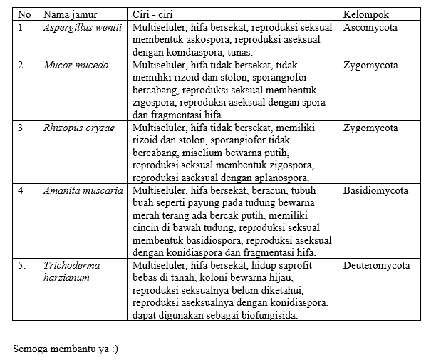 buatlah tabel tentang nama jamur,ciri cirinya dan ...