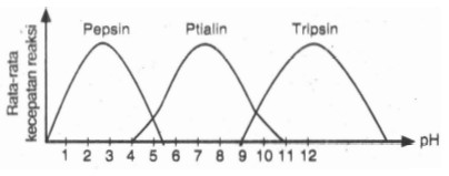 Berdasarkan grafik di atas. dapat ditarik kesimpul...
