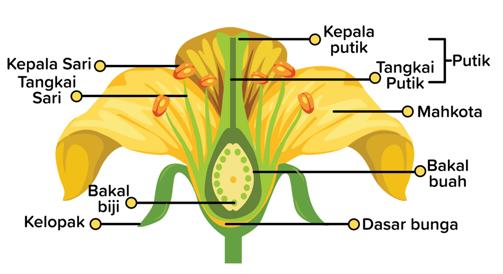 bagian bagian pada bunga...