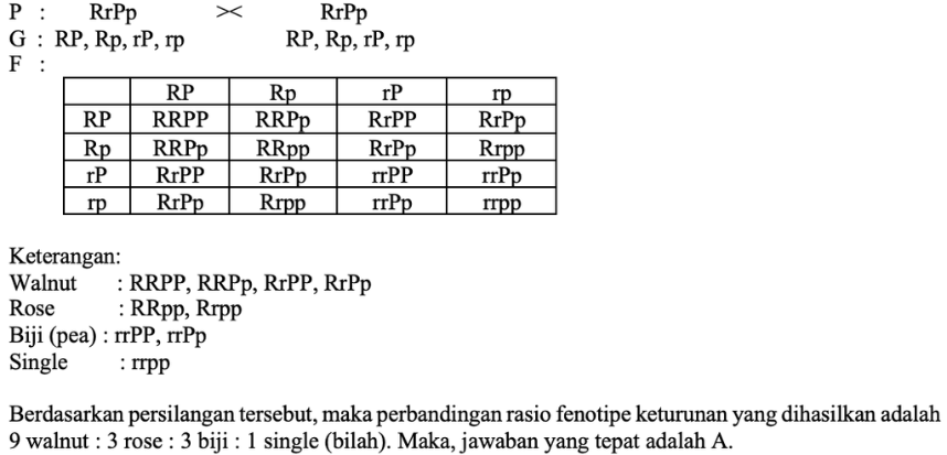 Perhatikan persilangan berikut! Jika keturunan F1 ...
