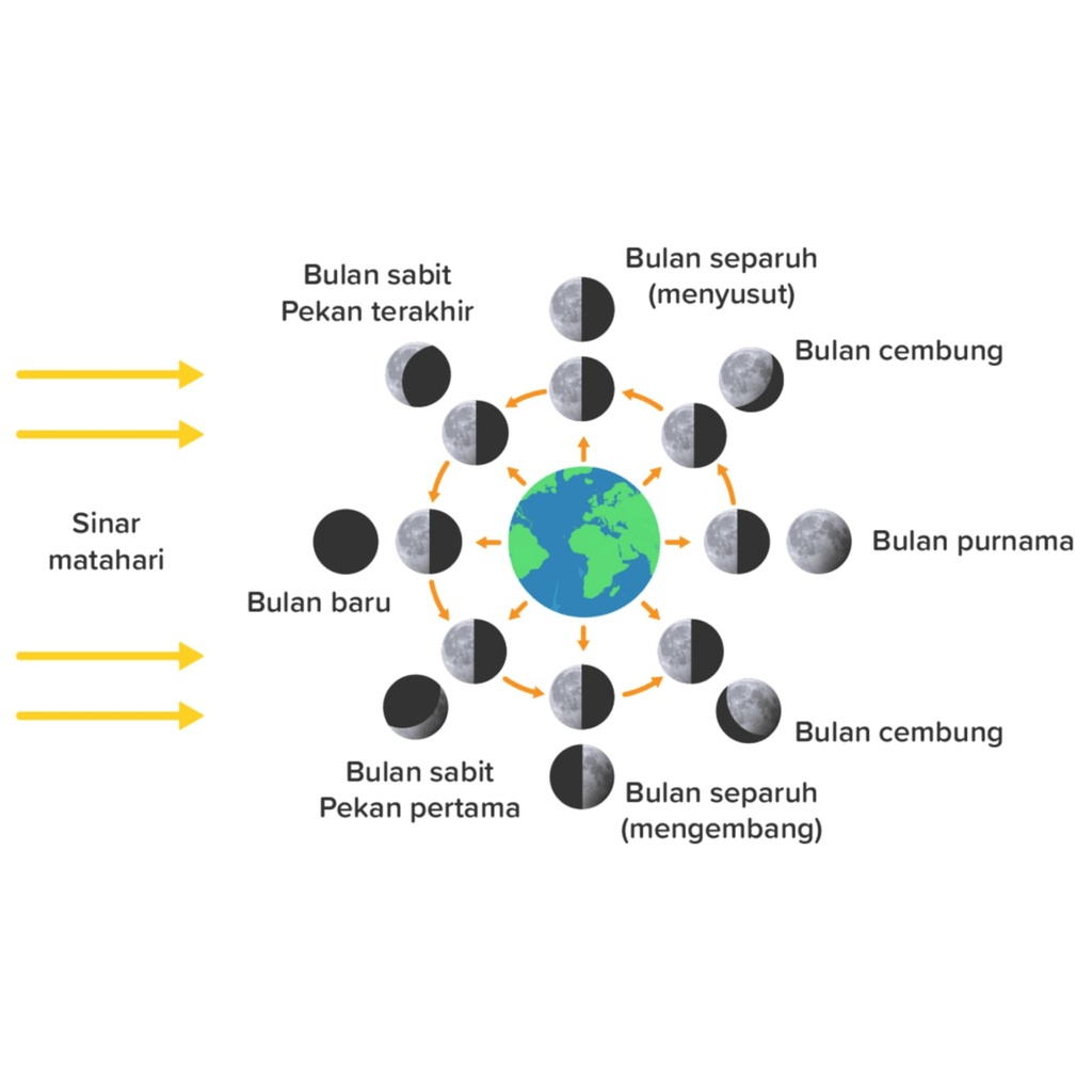 sebutkan fasefase bulan?dan jelaskan😙😄...