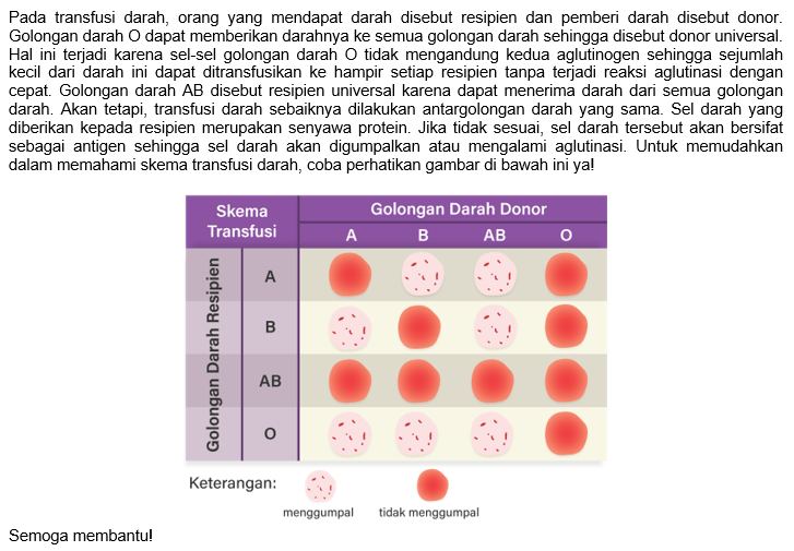 pernyataanyang tepat tentang transfusi darah agar ...