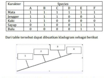 Dari table tersebut dapat dibuatkan kladogram seba...