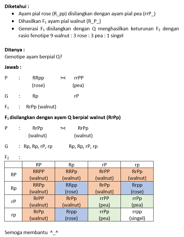 Interaksi antara dua pasang gen yang mengendalikan...