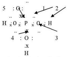 Perhatikan gambar struktur Lewis asam fosfat (H3PO...