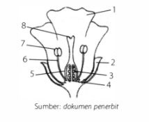Perhatikan gambar bunga berikut. b. Alat kelamin b...