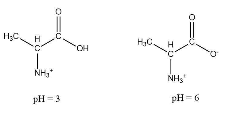 Titik isoelektrik alanin, CH3-CH(NH2)-COOH adalah ...