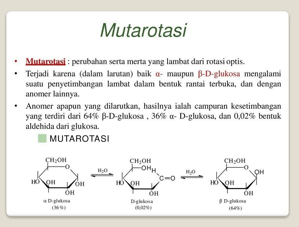 bagaimana mutarotasi terjadi jelaskan...