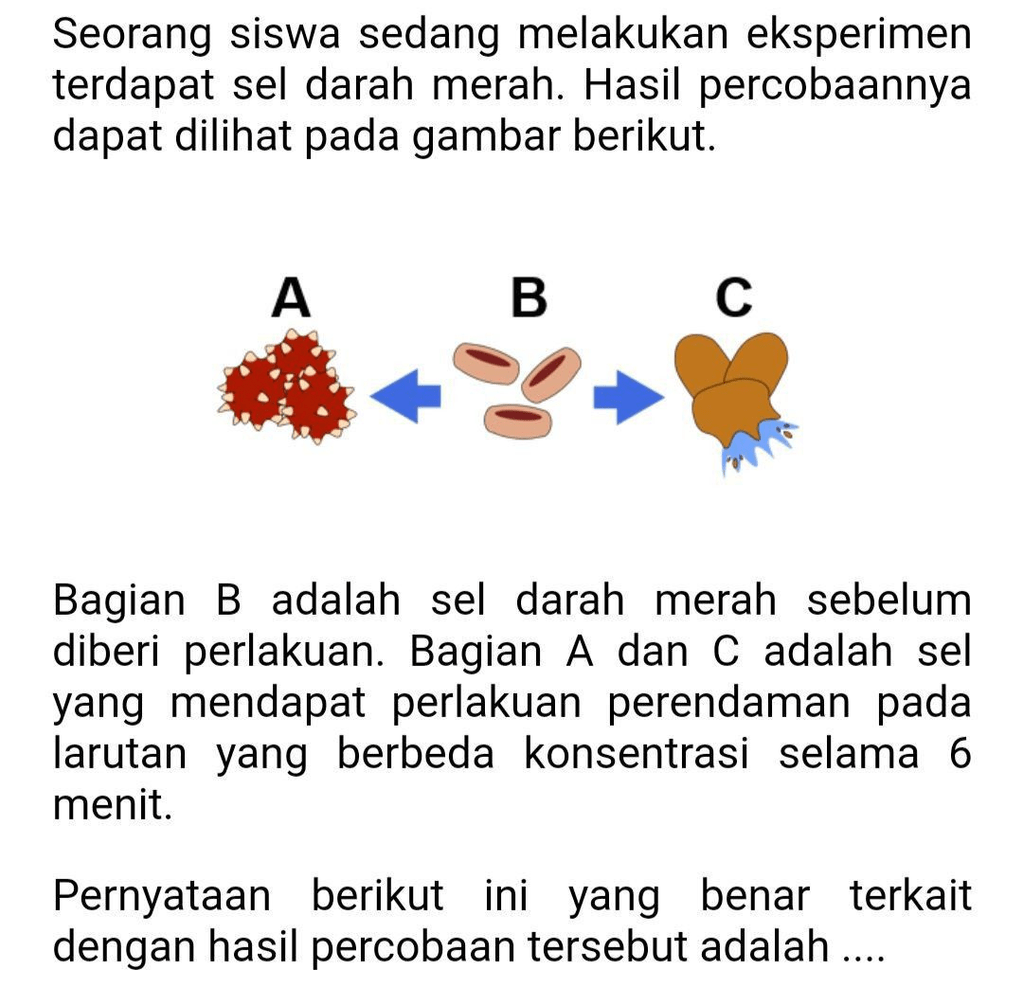 A. A mengalami turgid karena berada pada larutan h...