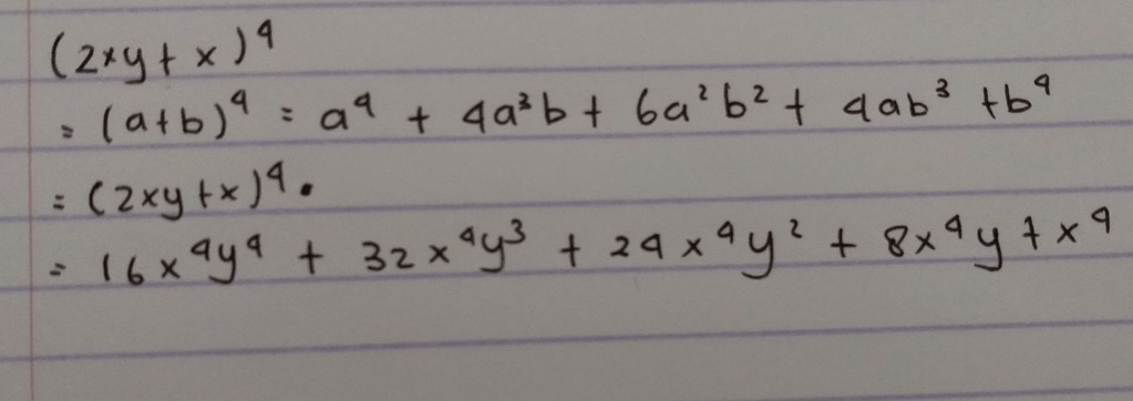 (2xy+x)⁴...