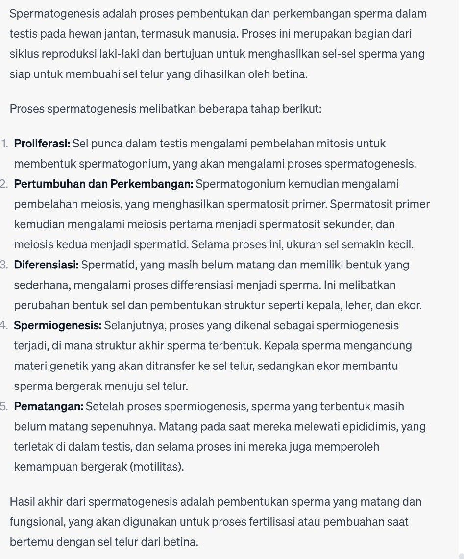 spermatogenesis adalah proses... spermatogenesis adalah proses...