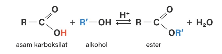 senyawa yang dihasilkan dari campuran 9ml asam but...