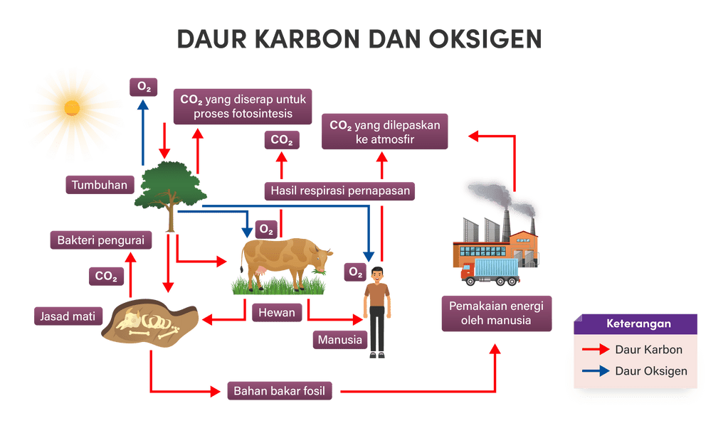 daur biogeokimia merupakan perpindahan unsur-unsur...
