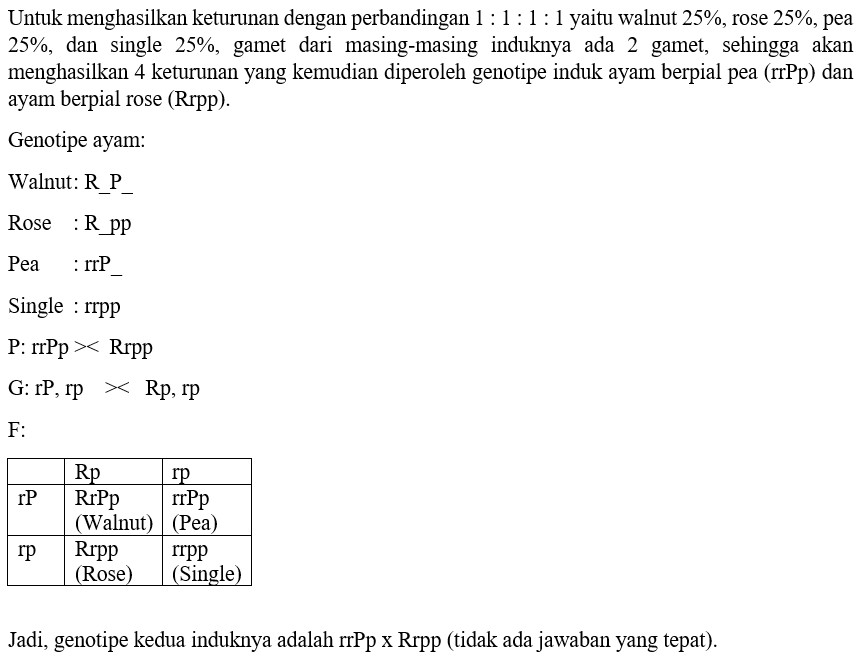 Peternak ayam menyilangkan ayam berpial pea dengan...
