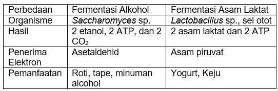 Proses fermentasi alkohol maupun asam Iaktat akan ...