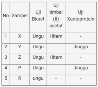 Data percobaan uji protein beberapa bahan makanan ...