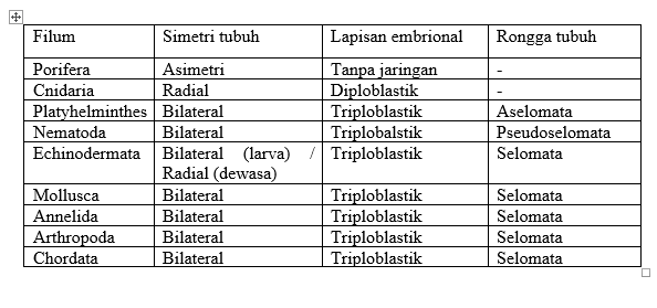 Jelaskan hubungan filogenetik antar filum hewan!...