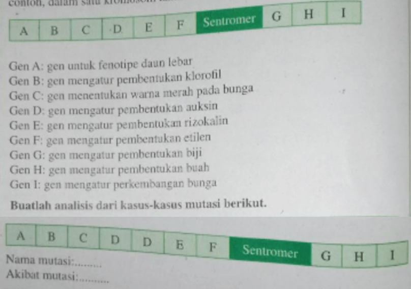 Lakukan simulasi untuk melihat efek mutasi pada su...
