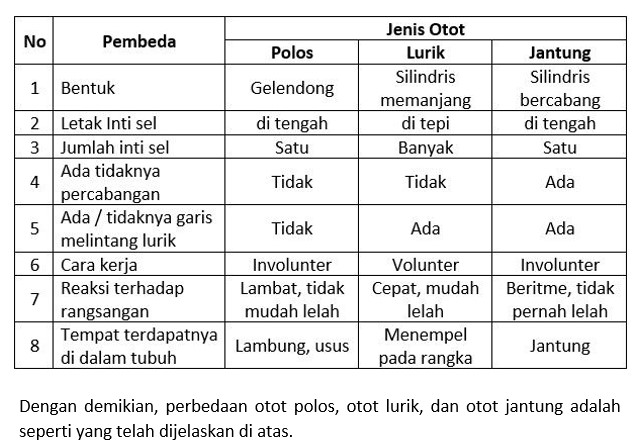 Tuliskan ciri-ciri otat di atas, ke dalam tabel...