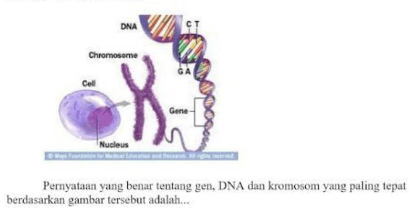 perhatikan gambar berikut. pernyataan yang benar ...