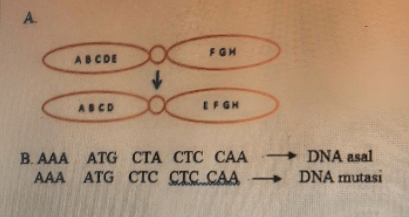 Perhatikan gambar di bawah ini, tentukan peritiwa ...