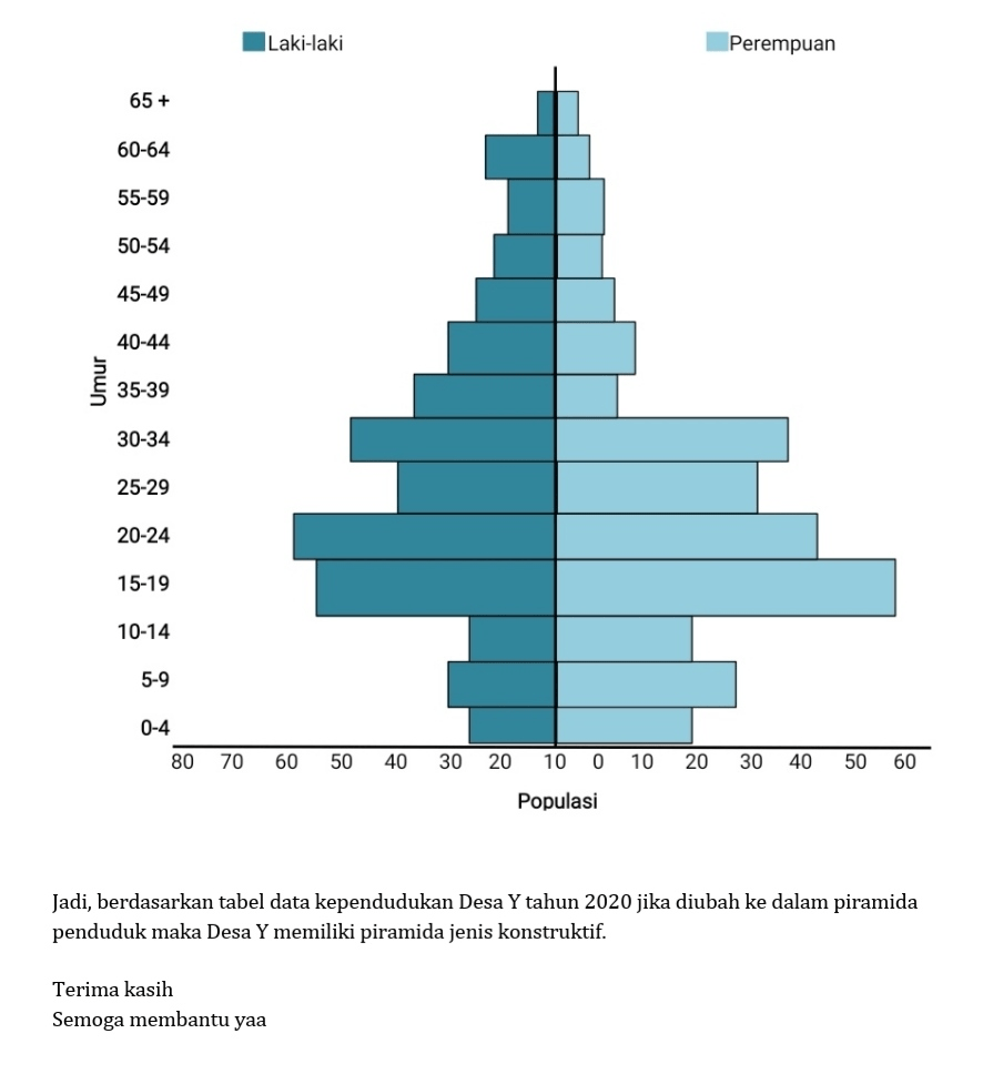 Dari data diata Gambarlah piramida penduduk Desa Y...