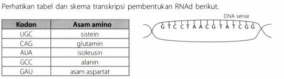 Berdasarkan tabel dan skema di atas, bagaimana uru...