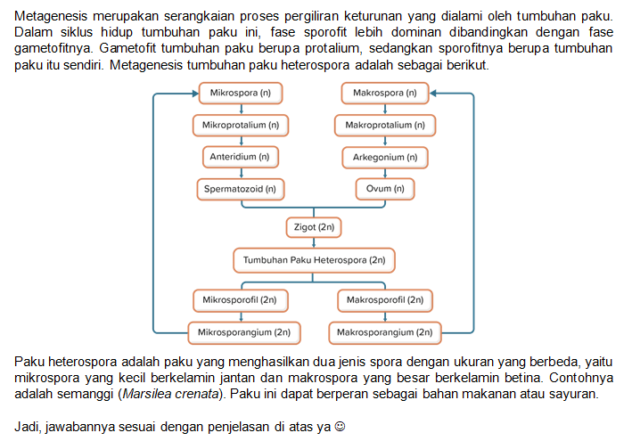 Buatlah skema metagenesis dari masing-masing jenis...
