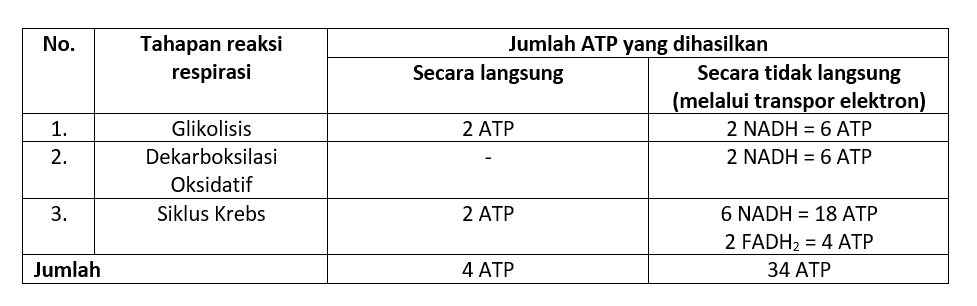 total atp yang dihasilkan dari pembakaran sempurna...