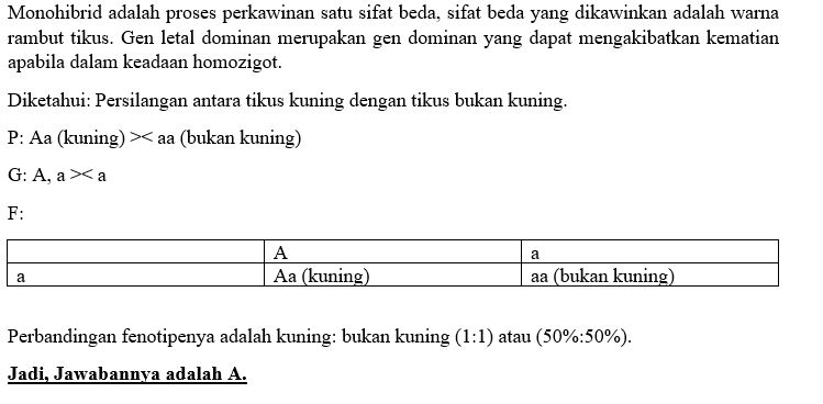 Pada tikus: gen A* gen dominan untuk bulu kuning ...