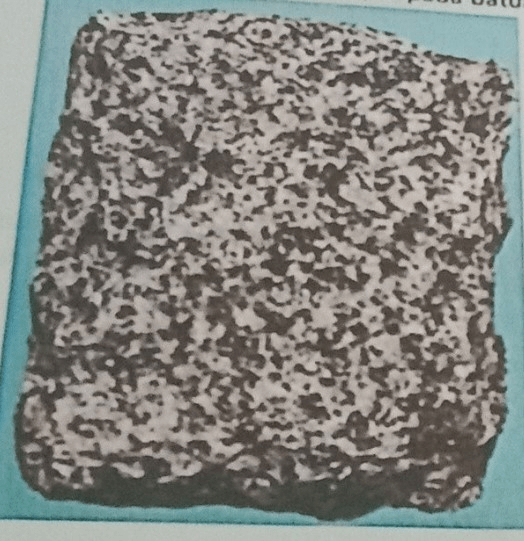 Tekstur batuan yang terdapat pada batuan D seperti...