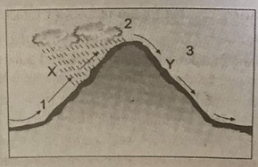 jenis angin yang ditunjukkan oleh nomor 3 memiliki...