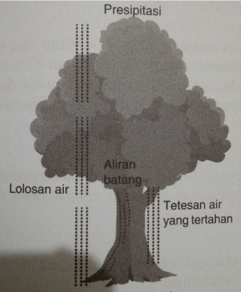 Pada gambar tampak salah satu komponen siklus hidr...