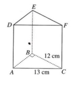 Prisma ABC.DEF mempunyai alas segitiga siku-siku d...