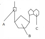 Perhatikan struktur molekul di atas. Bagian yang m...