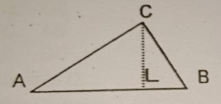 Perhatikan gambar segitiga ABC siku-siku di C di b...