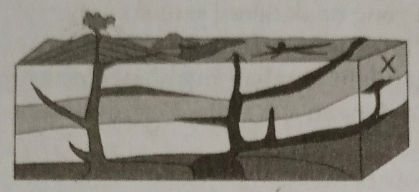 Perhatikan gambar berikut! Bentukan yang dari int...