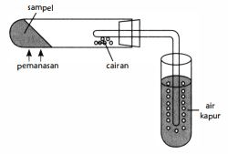 Perhatikan gambar uji senyawa karbon berikut! Ber...