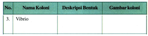 Jelaskan nama bentuk koloni berikut dan gambarkan ...