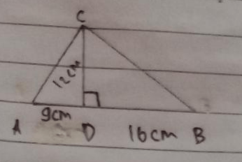 Tentukan Jenis ACB...