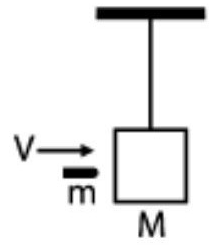 Sebutir peluru dengan massa m = 10 gram membentur ...