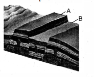 Tenaga endogenik yang bekerja pada lapisan batuan ...