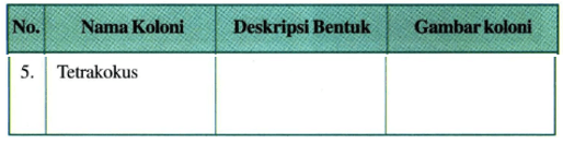Jelaskan nama bentuk koloni berikut dan gambarkan ...