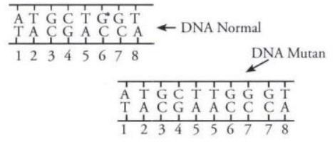 Jenis mutasi gen pada gambar di bawah adalah .... ...