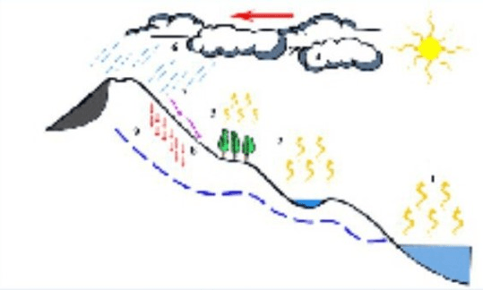 Nomor 1 dan 2 dari gambar di atas adalah proses pe...