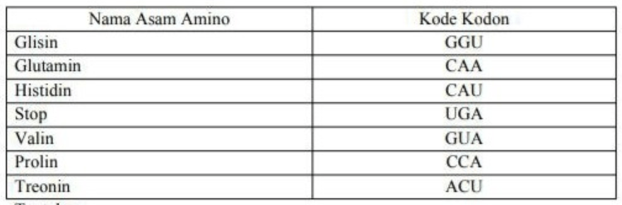 Sepotong molekul DNA sedang melakukan transkripsi ...