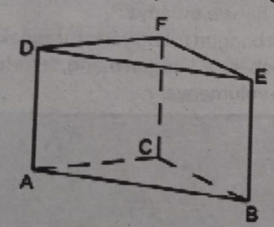 Perhatikan prisma segitiga ABC.DEF di bawah ini! T...
